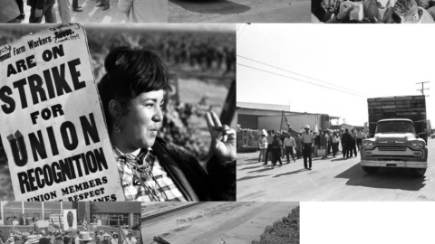 Farmworker Movement